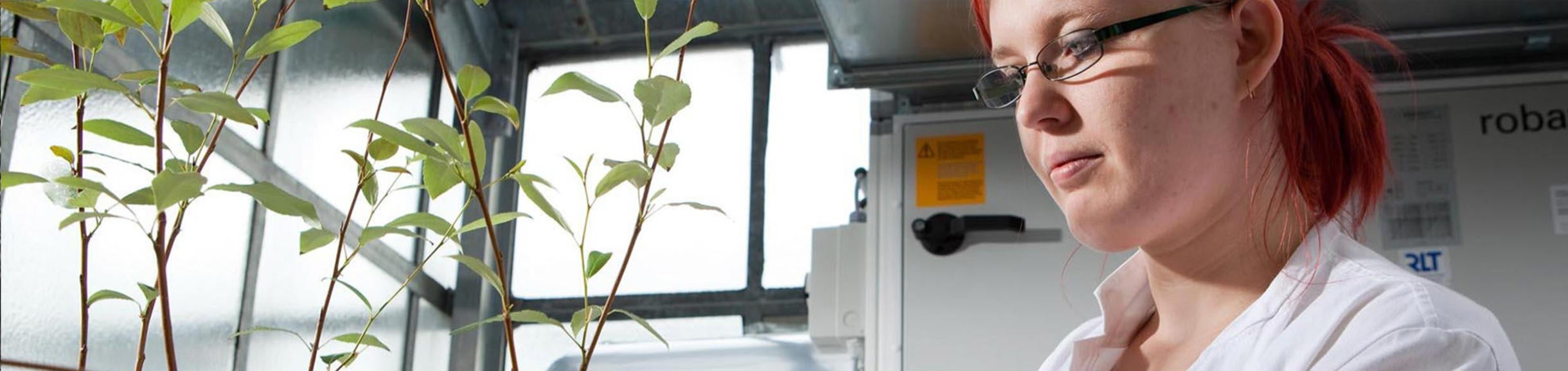 Award Winning Scientists | Department of Botany & Plant Sciences