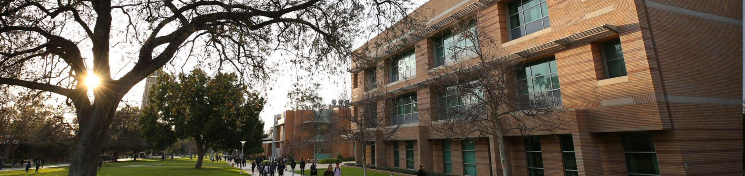 MS Program | Department of Botany & Plant Sciences